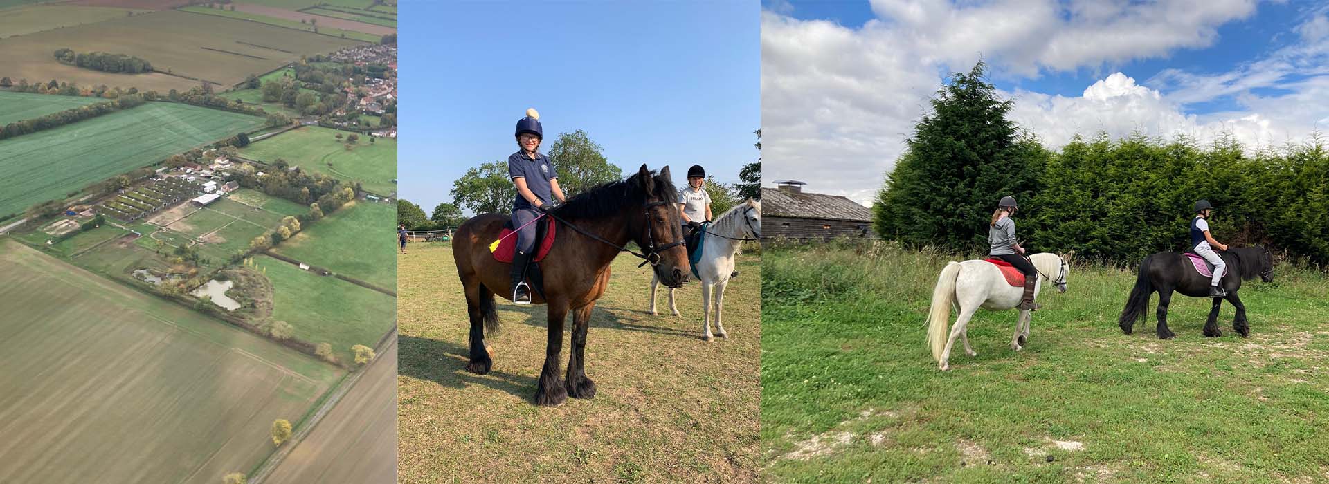 SAFE Equestrian - Learning with horses